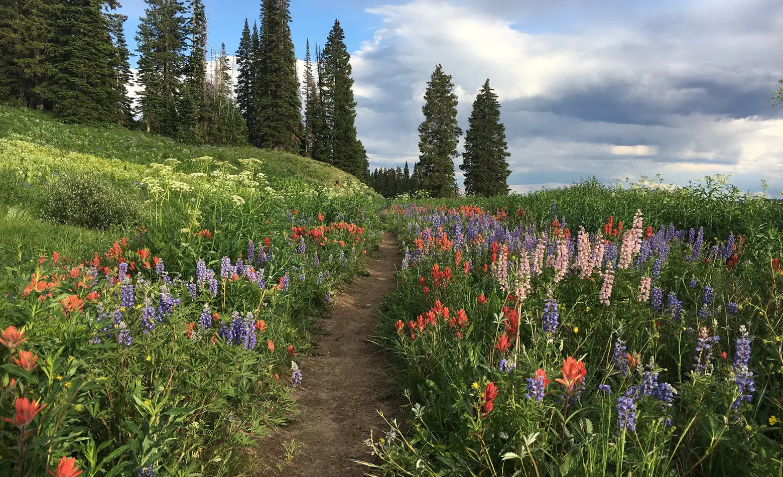 The Road to Wilderness: Completing the CDT in Colorado | Big Agnes Canada